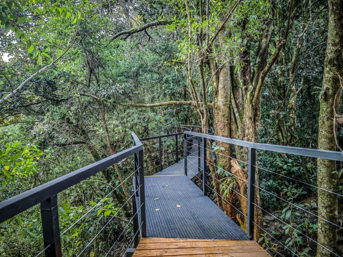 Cloud Forest Lodge - Monteverde - Pacifica Vacations